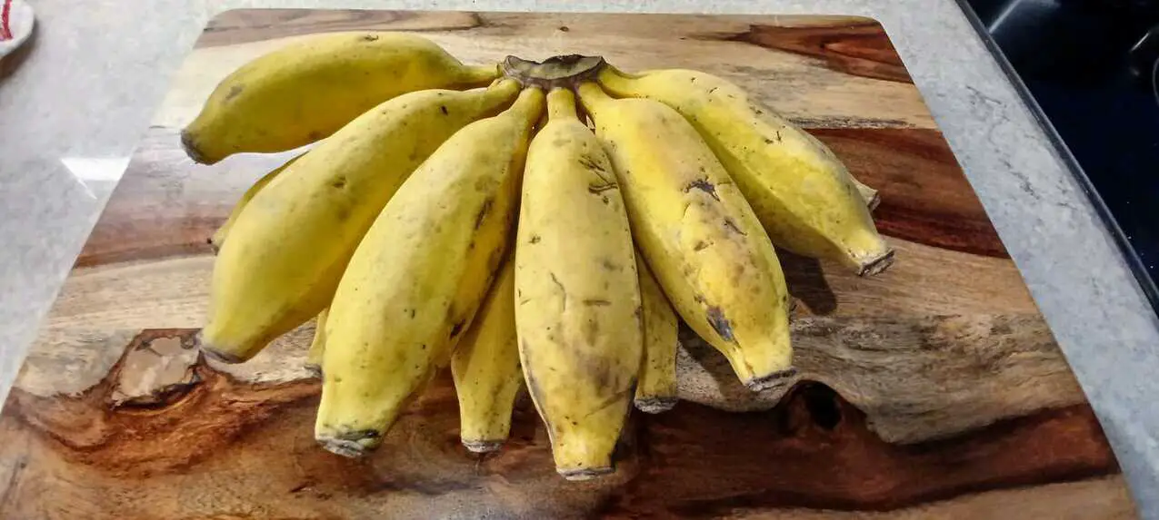 17 Varieties of Fruit in Hawaii You Simply Must Try - Travels With Eli